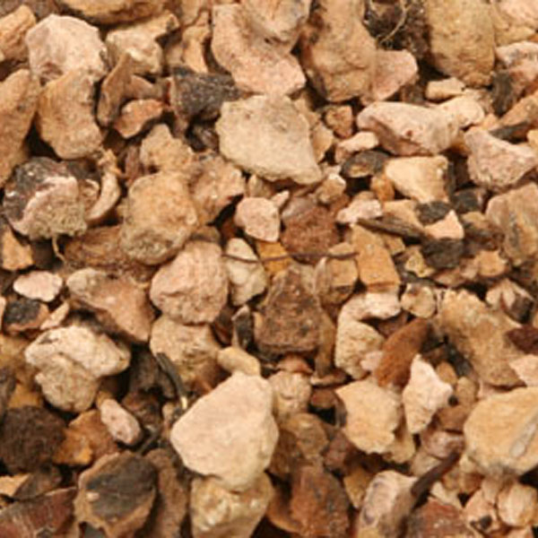 Bistort Root ( Polygonum Bistoria ) – Magical Herbs